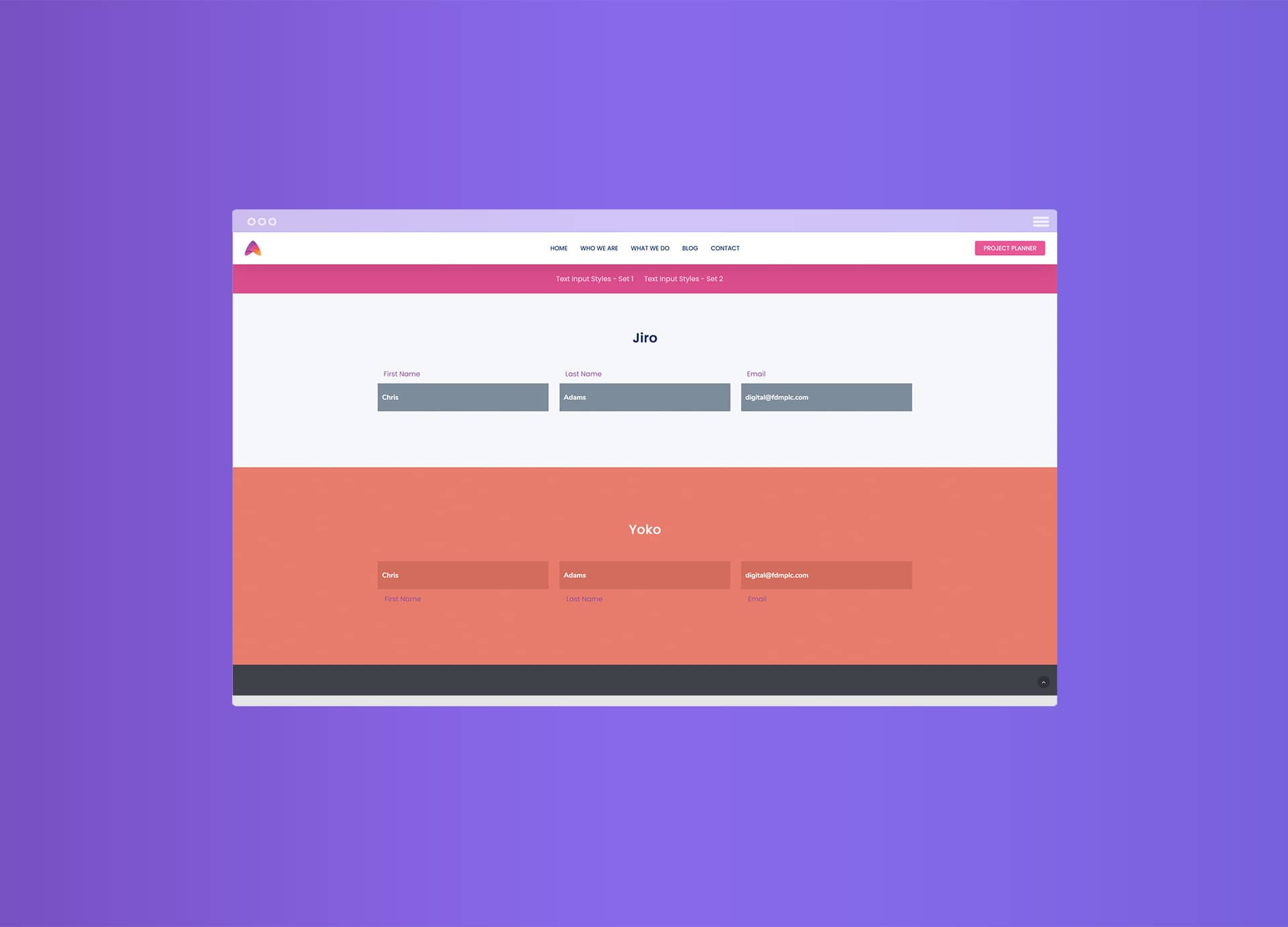 Text Input Styles 1 - Formidable Forms - FDM Digital