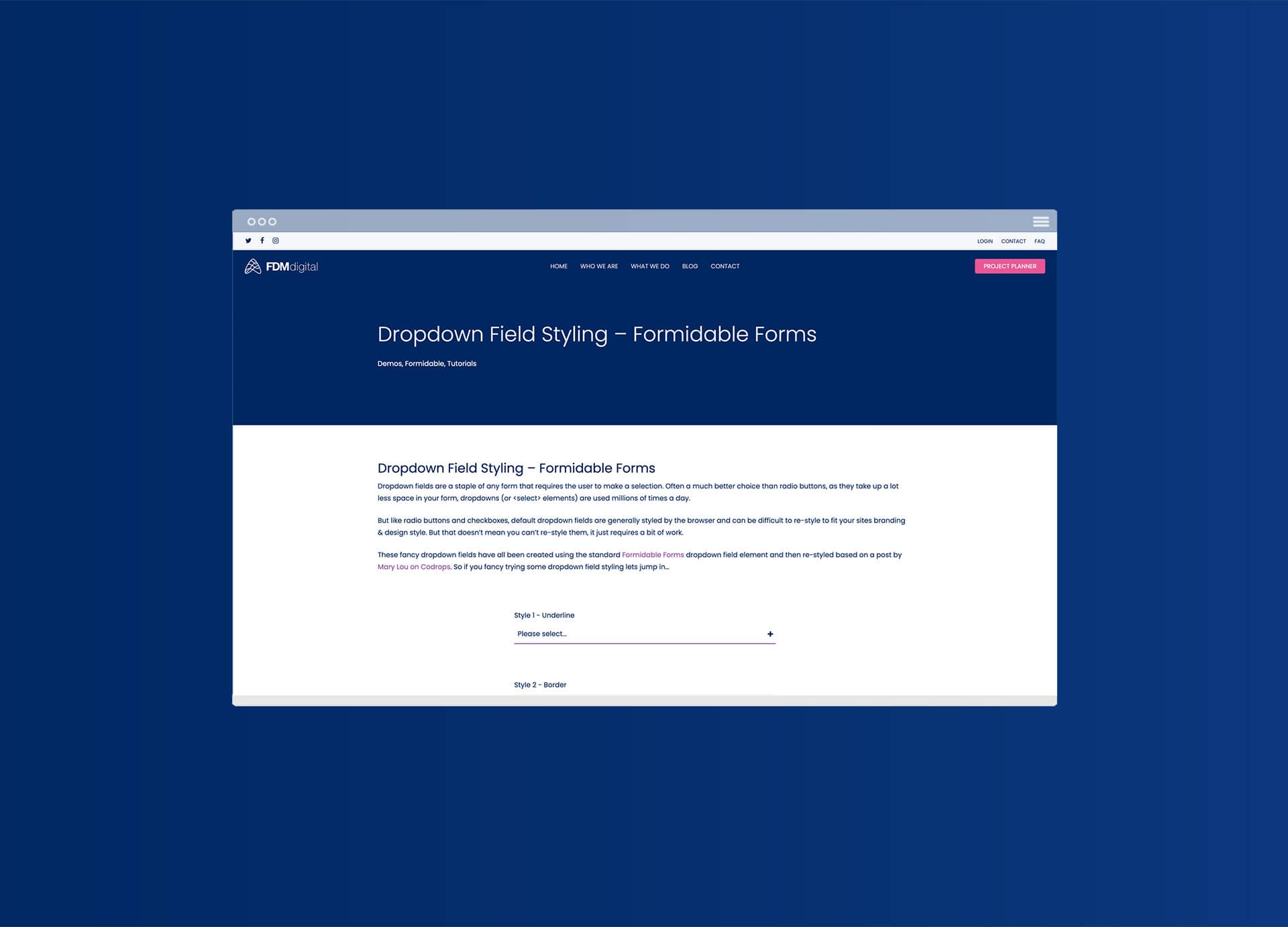 Dropdown Field Styling Formidable Forms Fdm Digital 